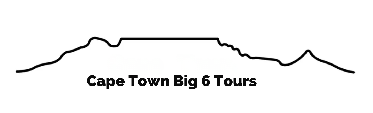 Cape Town Big 6 Tours